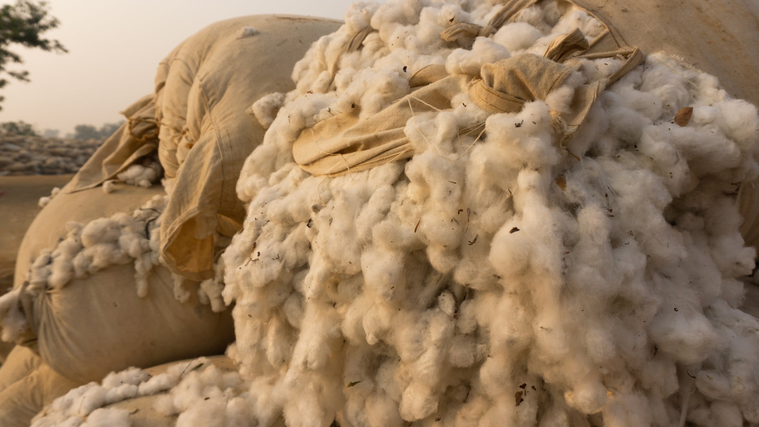 Kowtow Australia | Kowtow Ethical & Organic Clothing